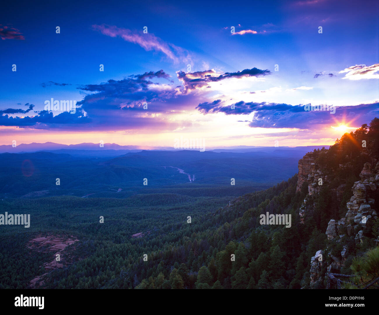 Mogollon Rim summer, North of Payson, Arizona. Coconino National Forest ...