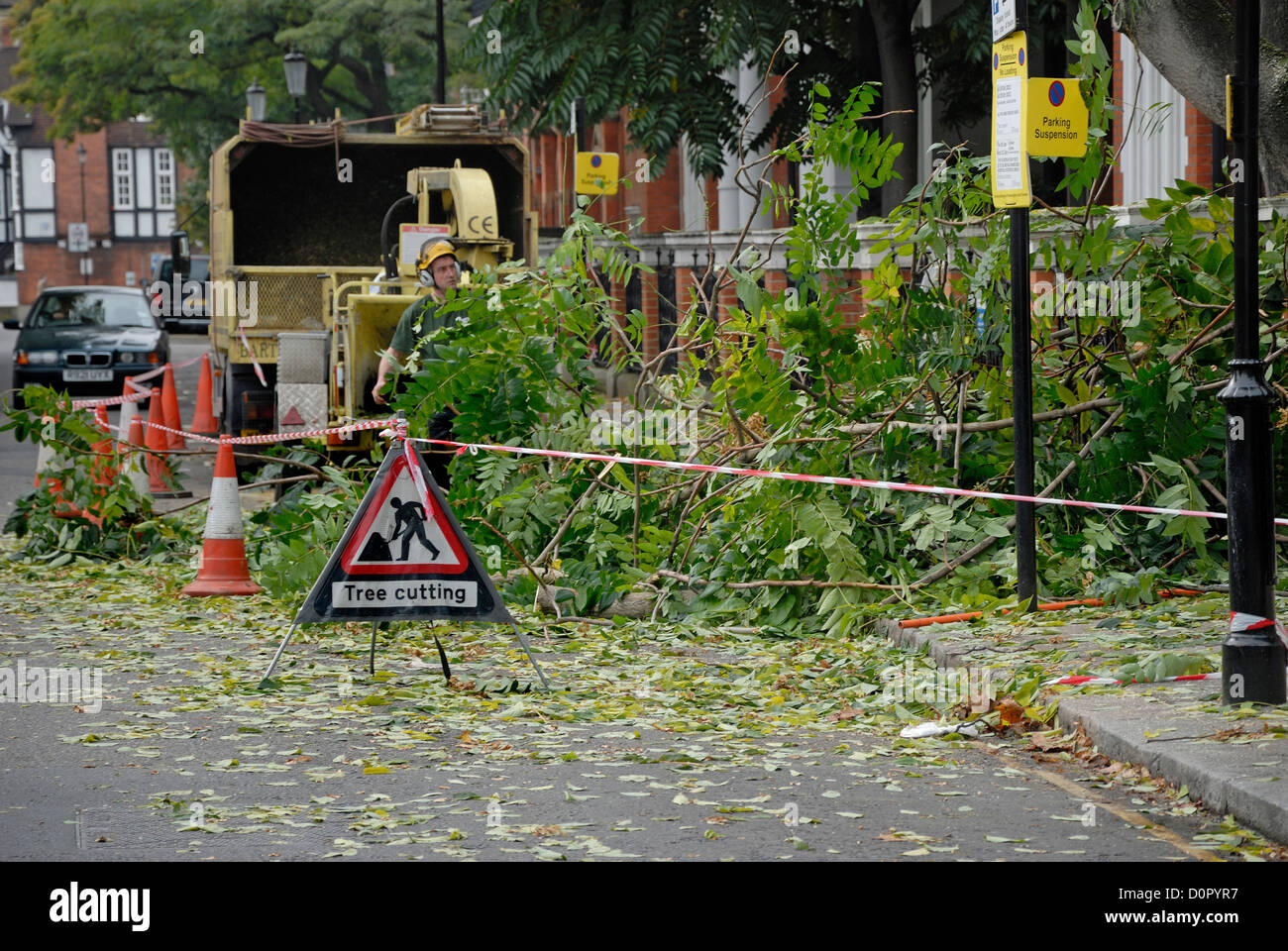 Unsafe trees hi-res stock photography and images - Alamy