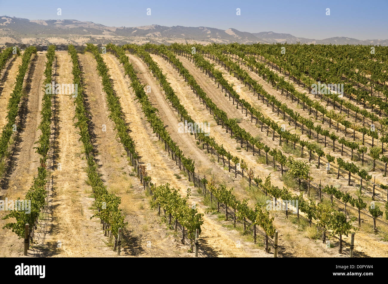 Central california hills hi-res stock photography and images - Alamy