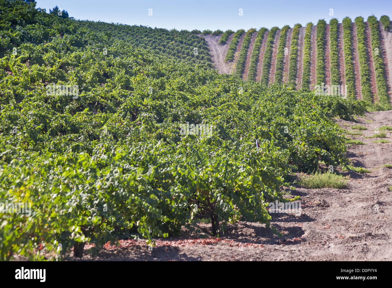 Country hills hi-res stock photography and images - Alamy