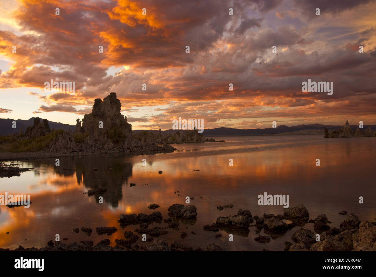 On Golden Pond Stock Photo - Alamy