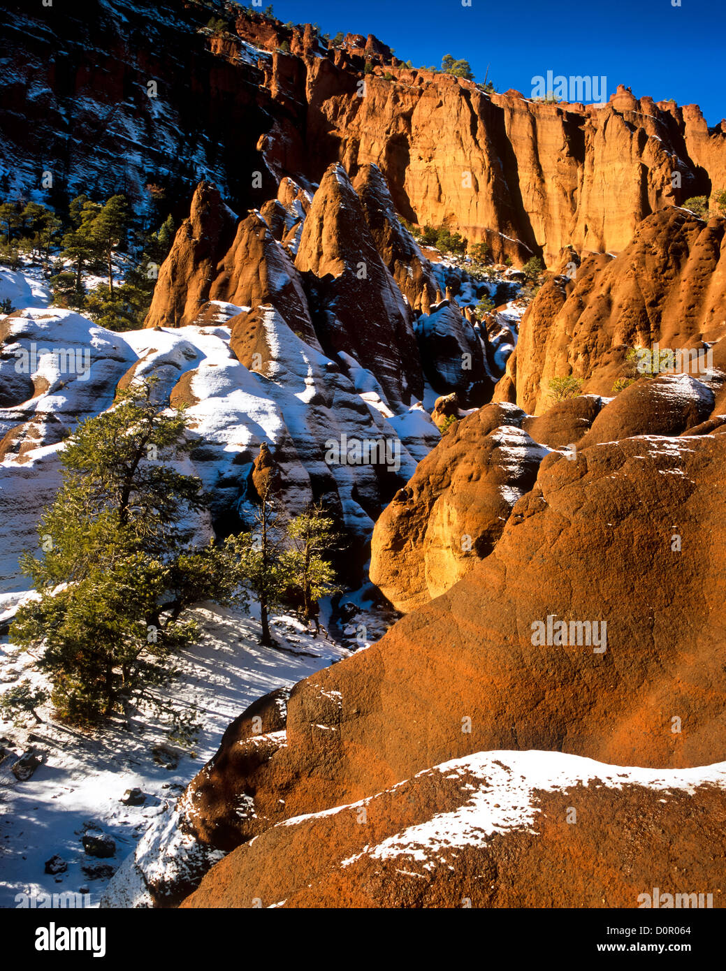 Red Mountain Geological area north of Flagstaff, Coconino National ...