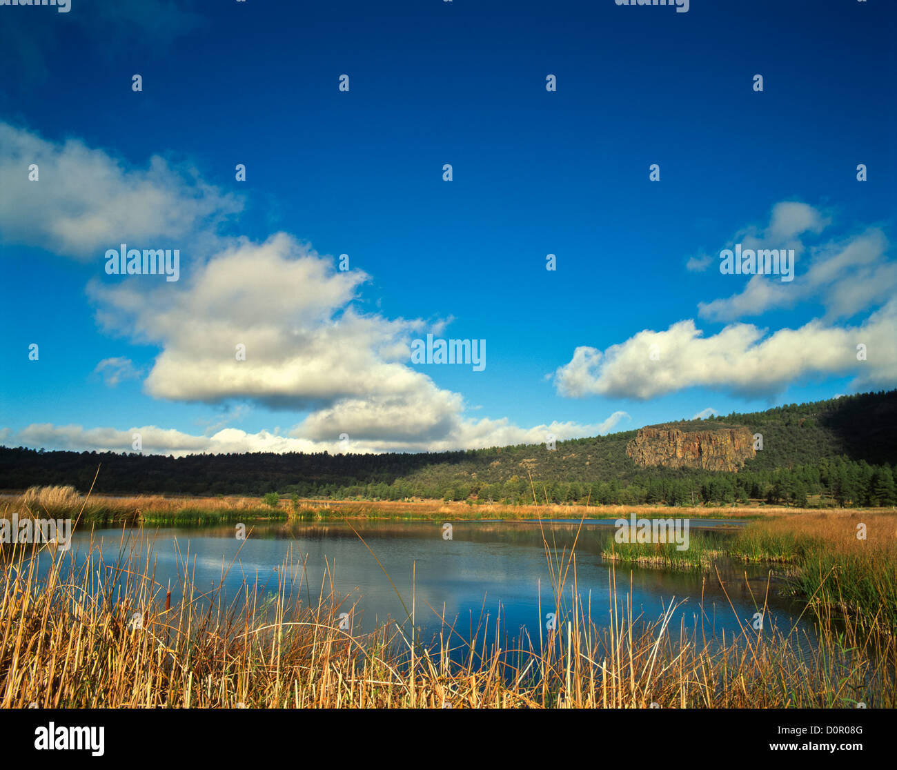 Stoneman lake hi-res stock photography and images - Alamy