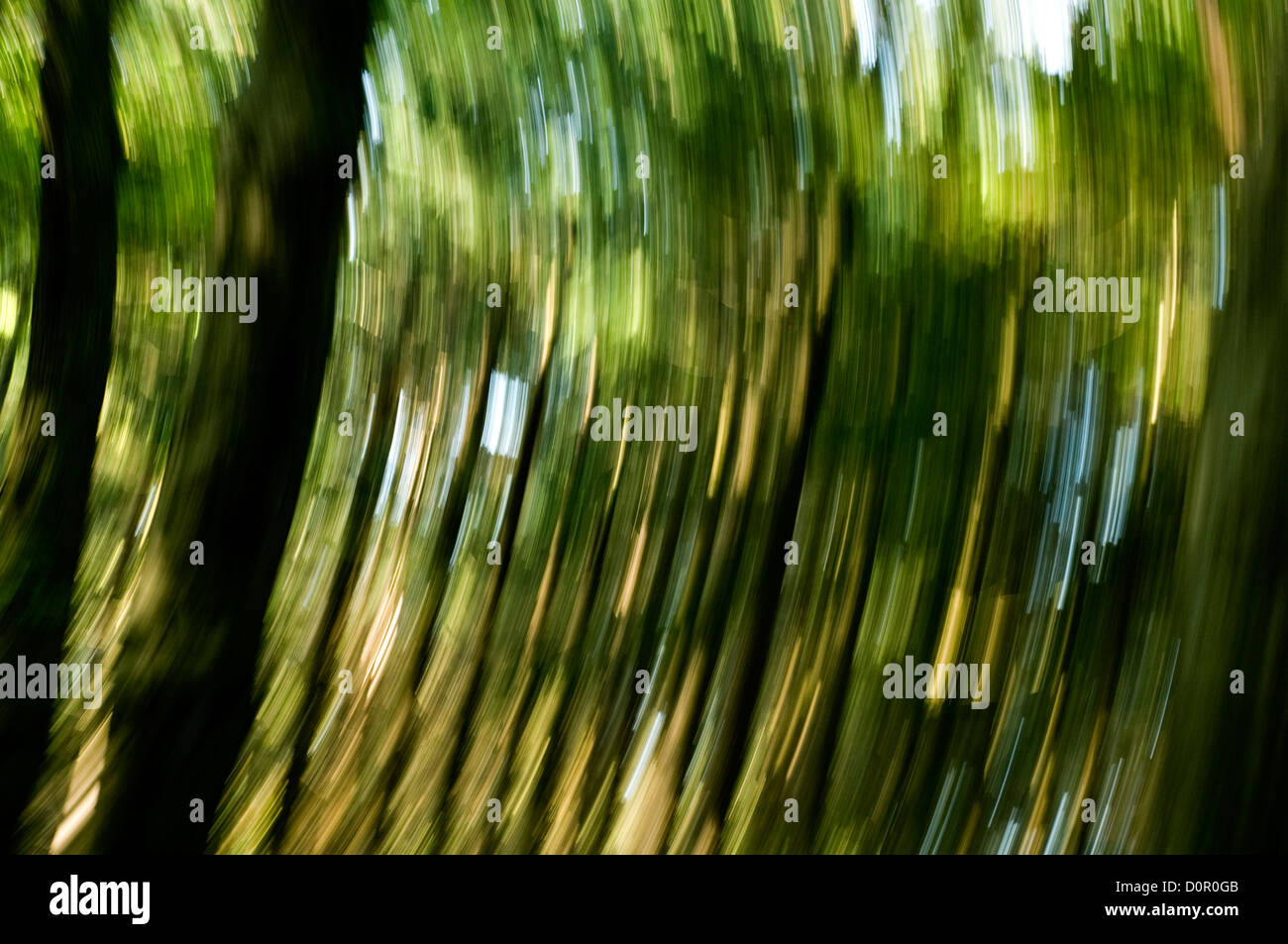 Abstract shapes in nature photography hi-res stock photography and ...