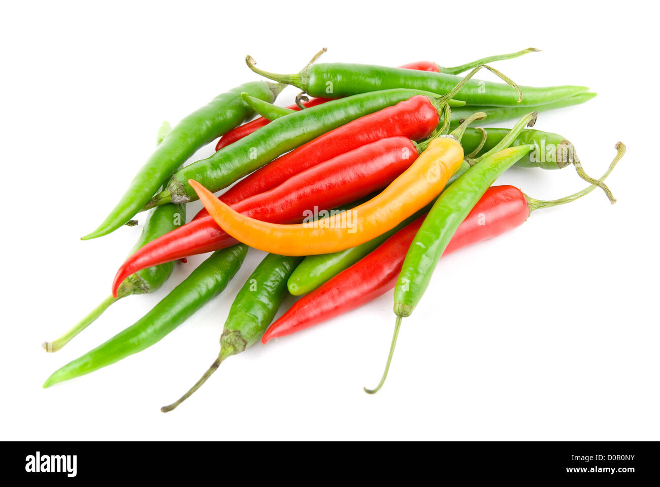 Woman chilli plant hi-res stock photography and images - Alamy