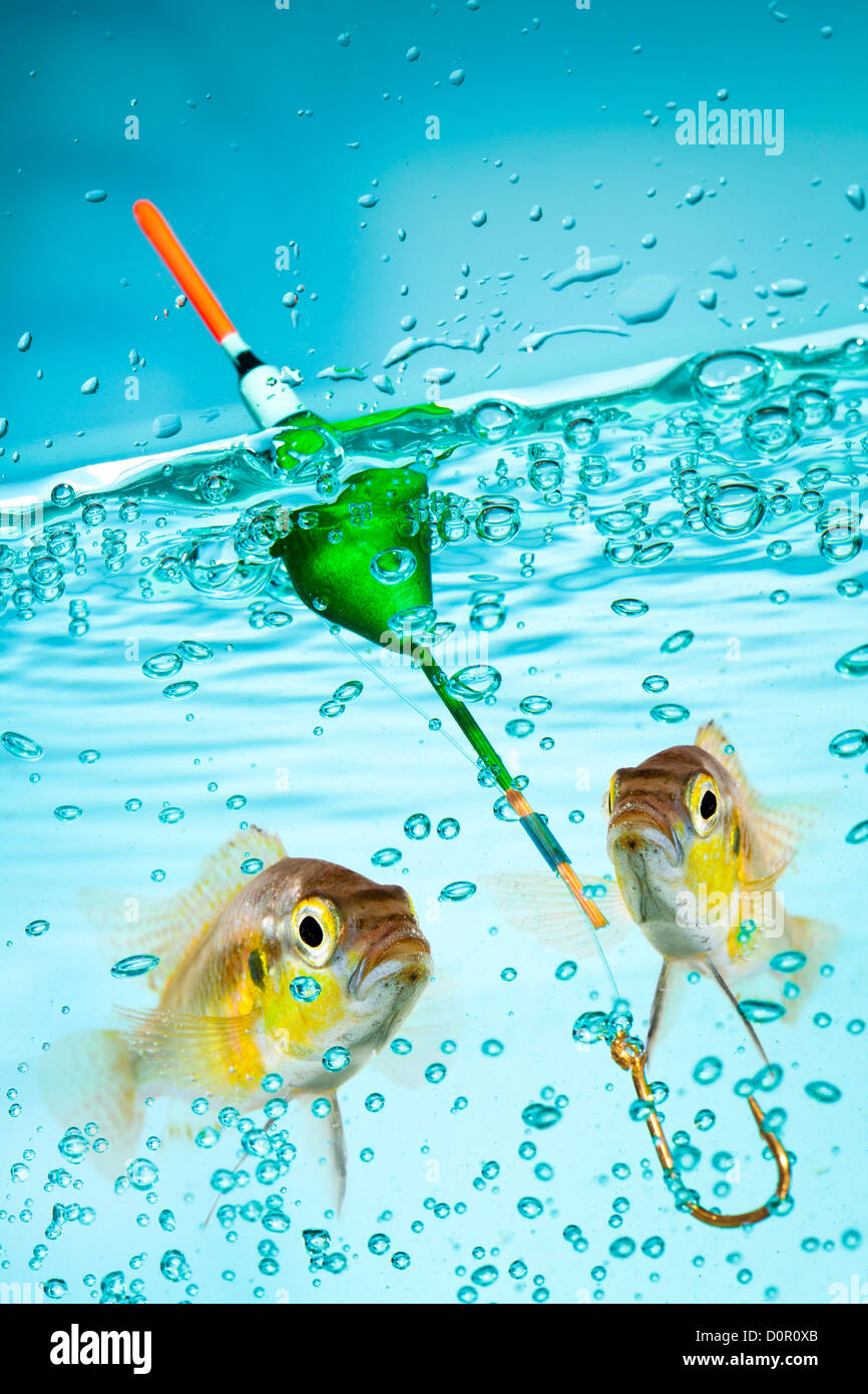 Fishing trapping hi-res stock photography and images - Alamy