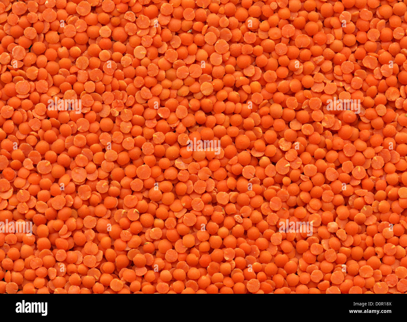 Close-up of dry red lentils, for texture or background Stock Photo - Alamy