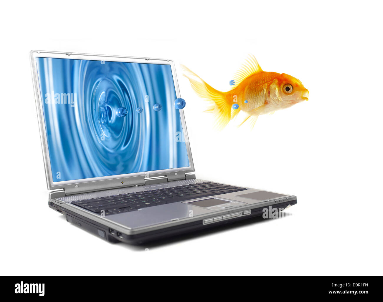 Fish information Cut Out Stock Images & Pictures - Alamy