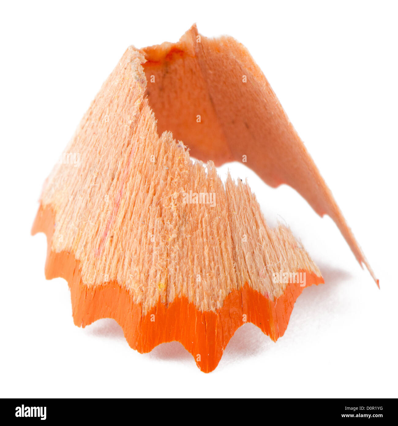 Pencil Shaving Tree High Resolution Stock Photography and Images - Alamy