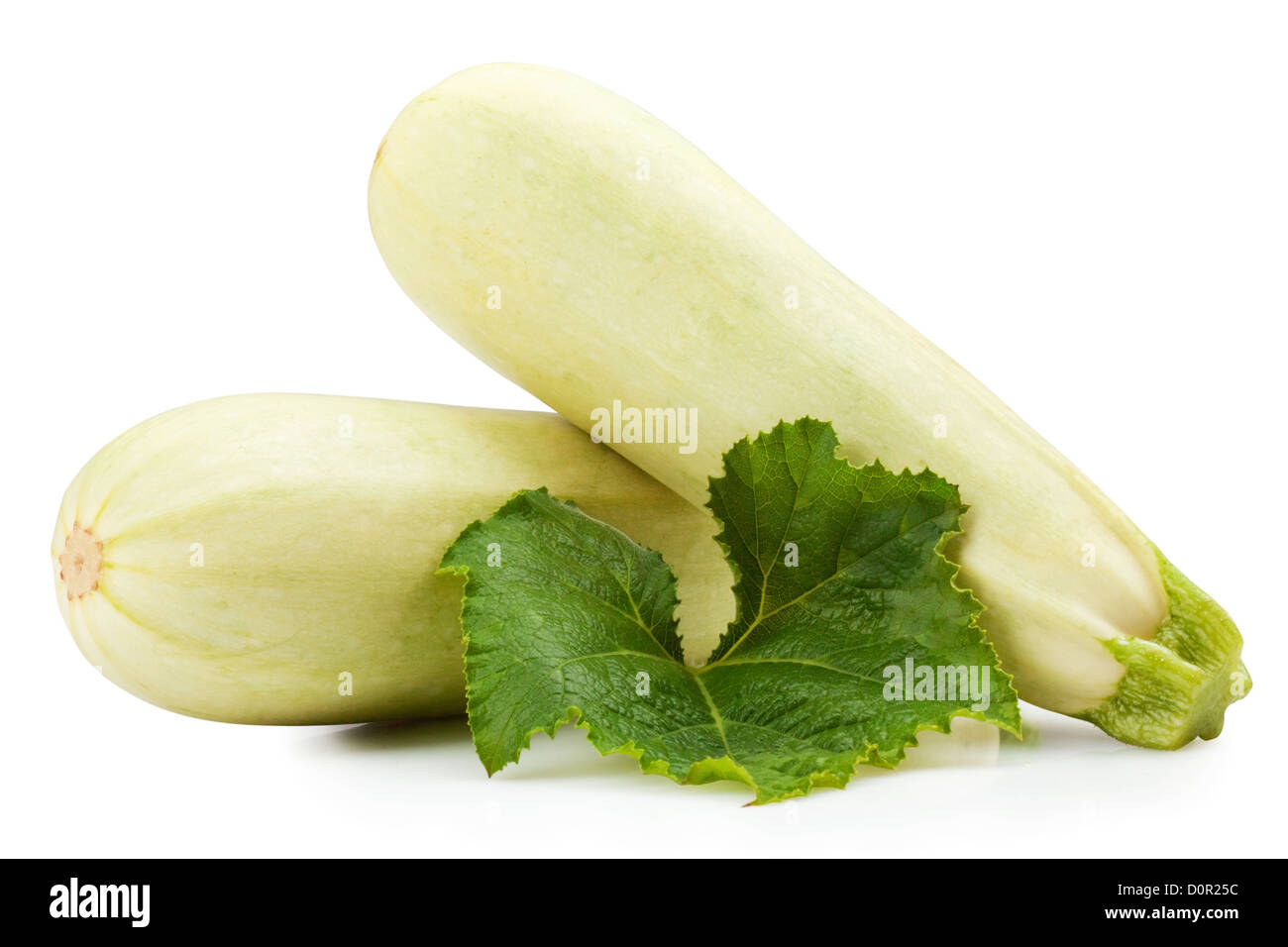 Spaghetti marrow hi-res stock photography and images - Alamy