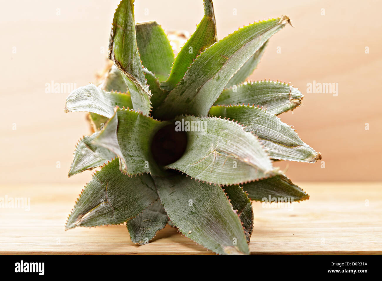 Pineapple leaves hi-res stock photography and images - Alamy