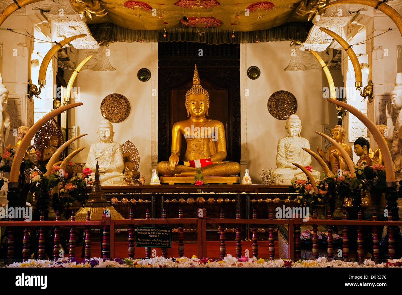 Buddhism Asia Religion Temple Faith Sri Lanka Icon High Resolution ...