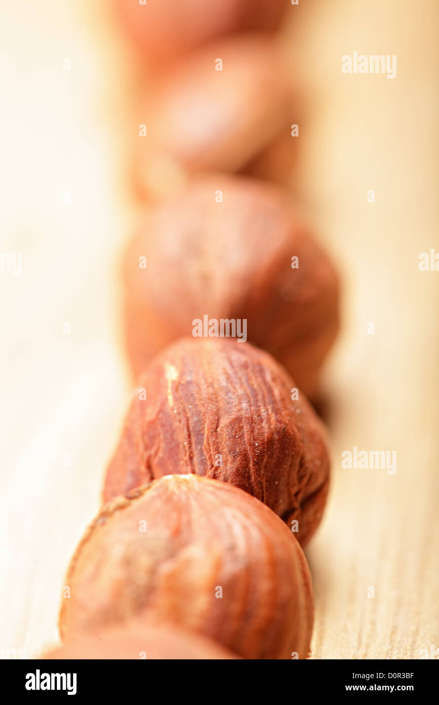 Hazelnuts in a row Stock Photo - Alamy