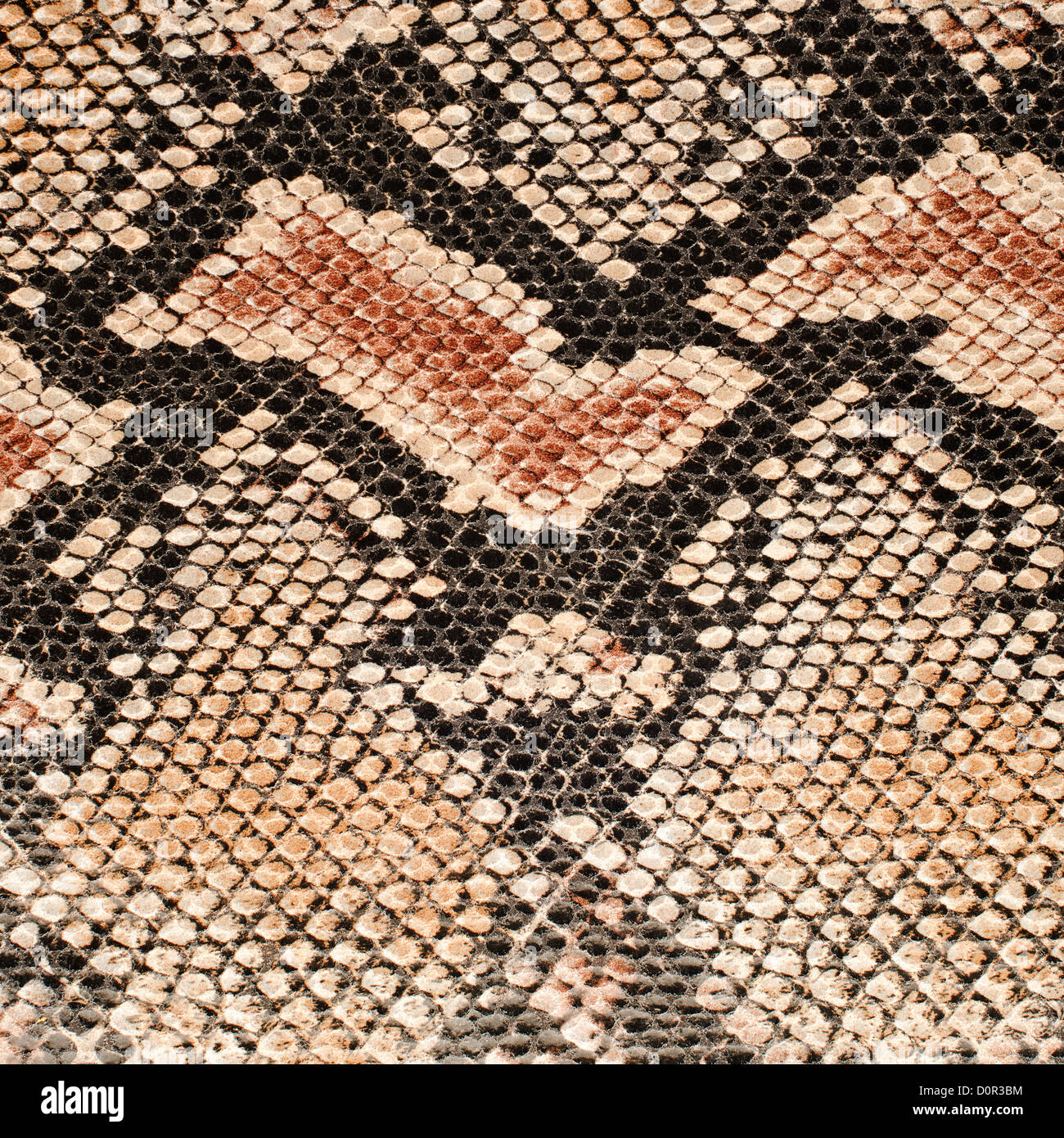 Closeup on snake skin pattern background Stock Photo - Alamy