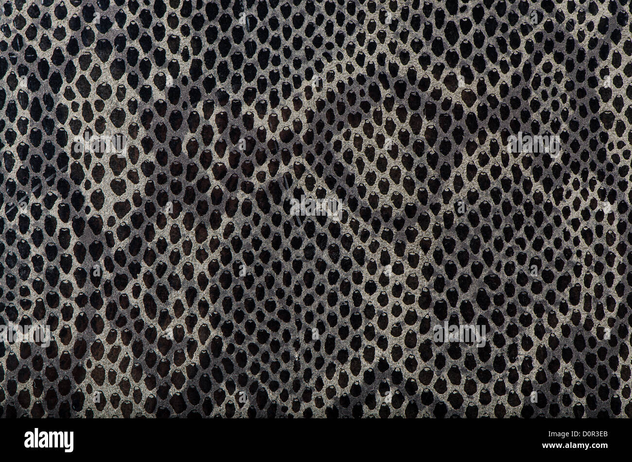 Snake skin background hi-res stock photography and images - Alamy