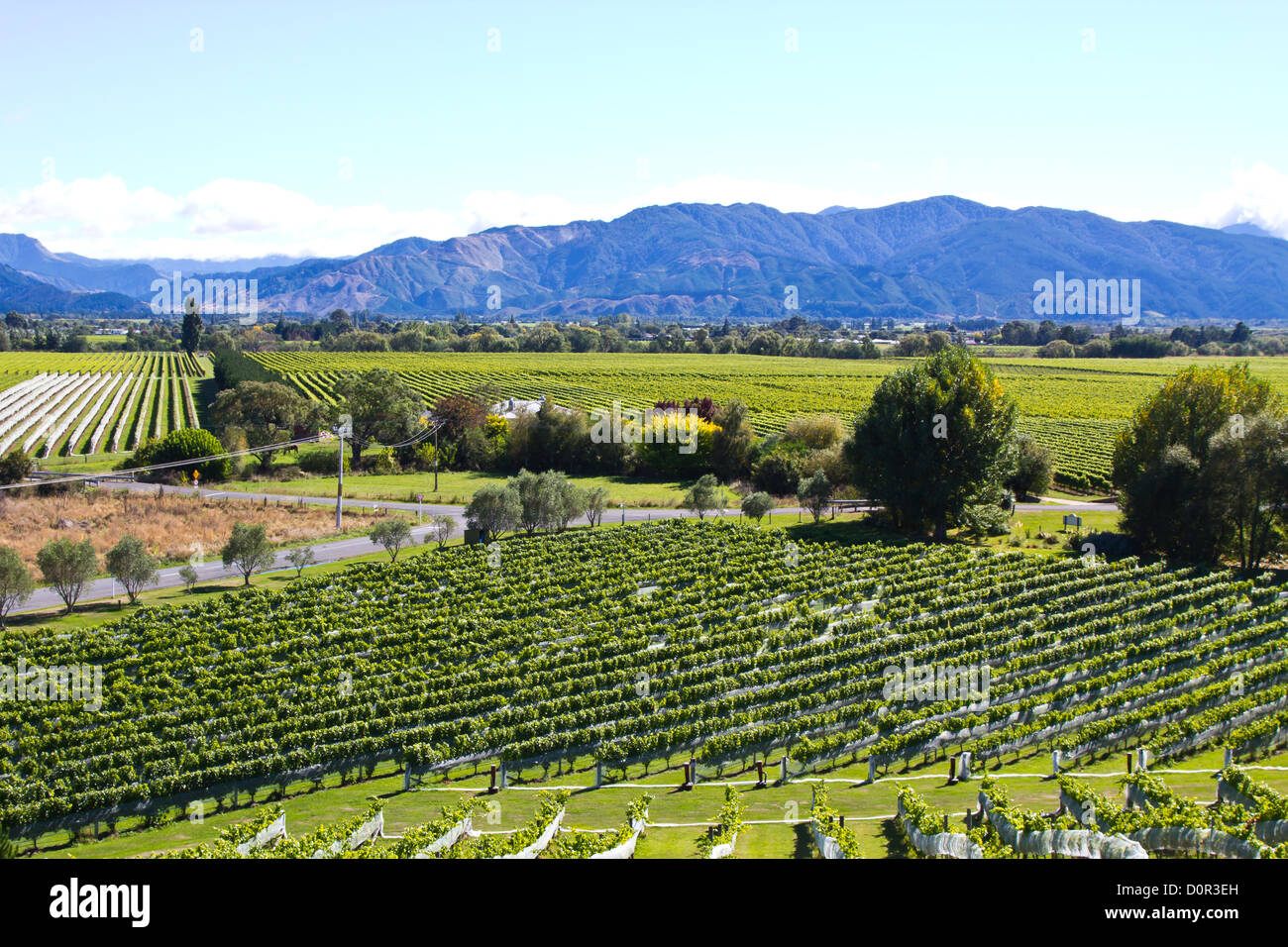 Marlborough Wine Region, New Zealand Stock Photo - Alamy