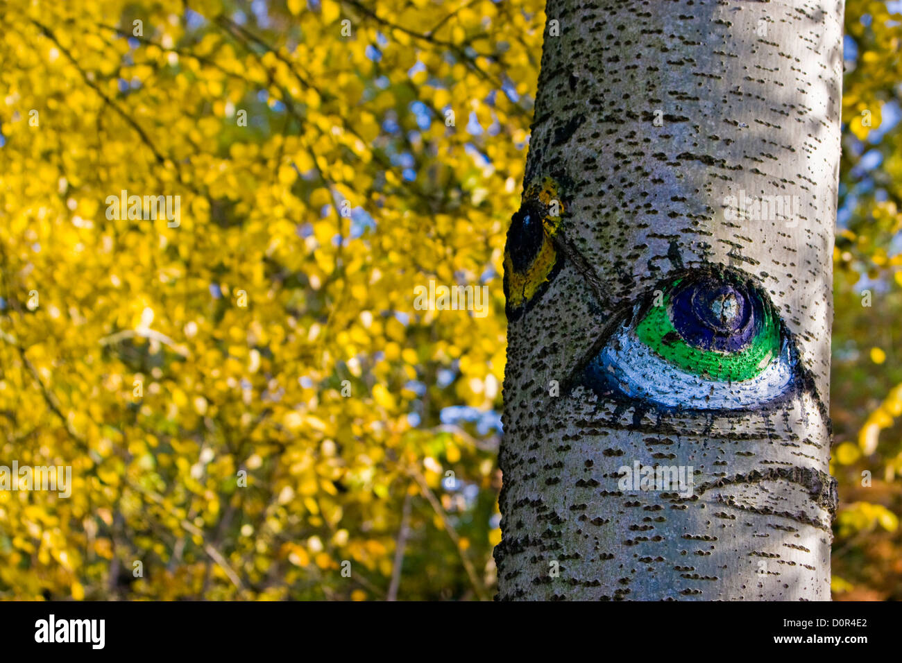A tree trunk with eyes painted on it Stock Photo - Alamy