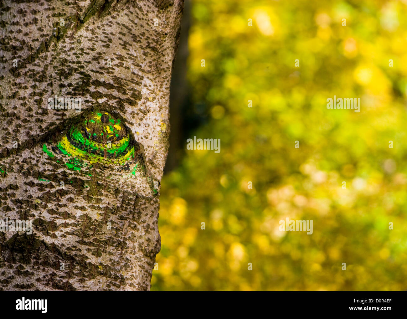 Eye painted on tree hi-res stock photography and images - Alamy