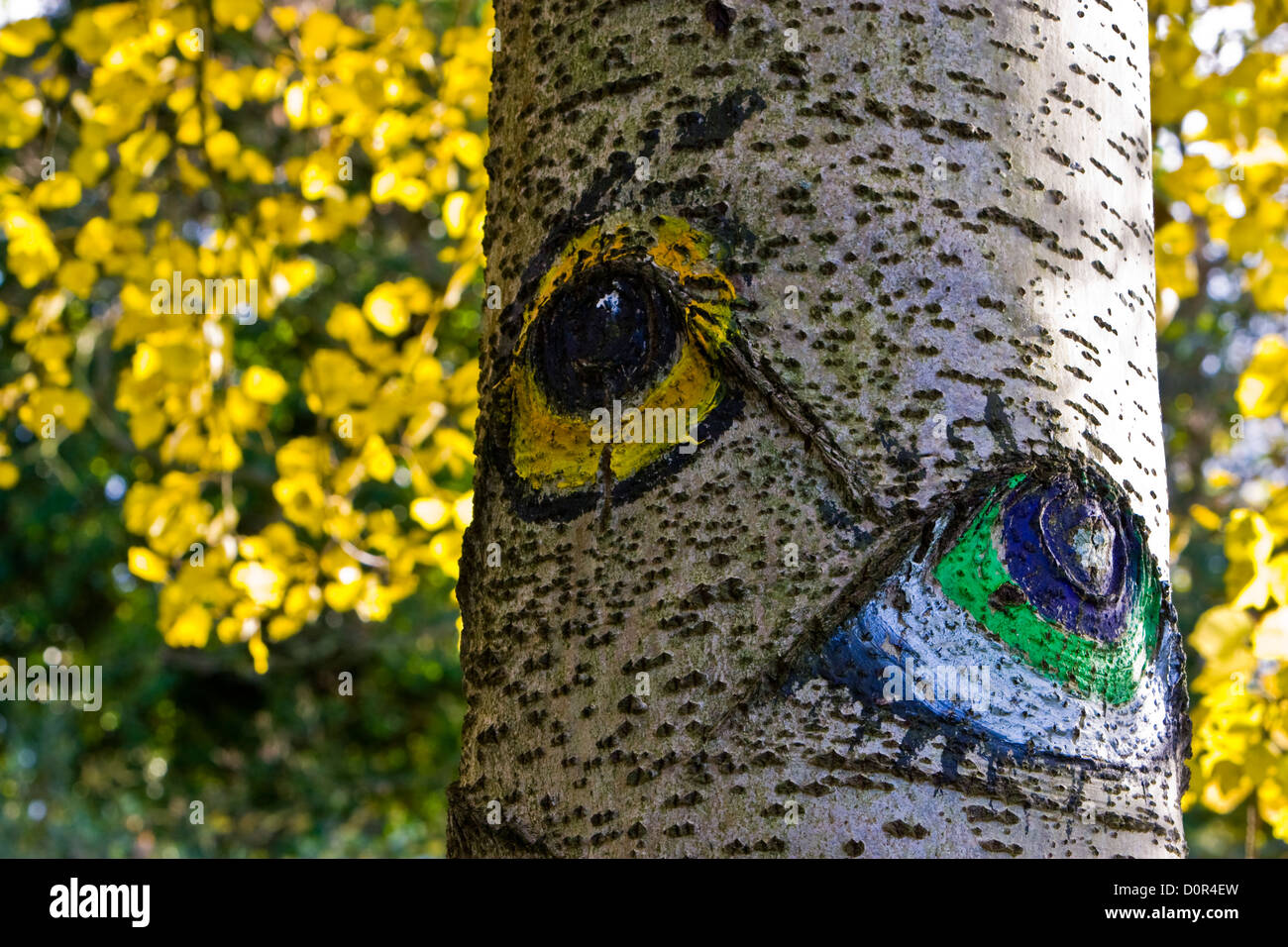 A tree trunk with eyes painted on it Stock Photo - Alamy