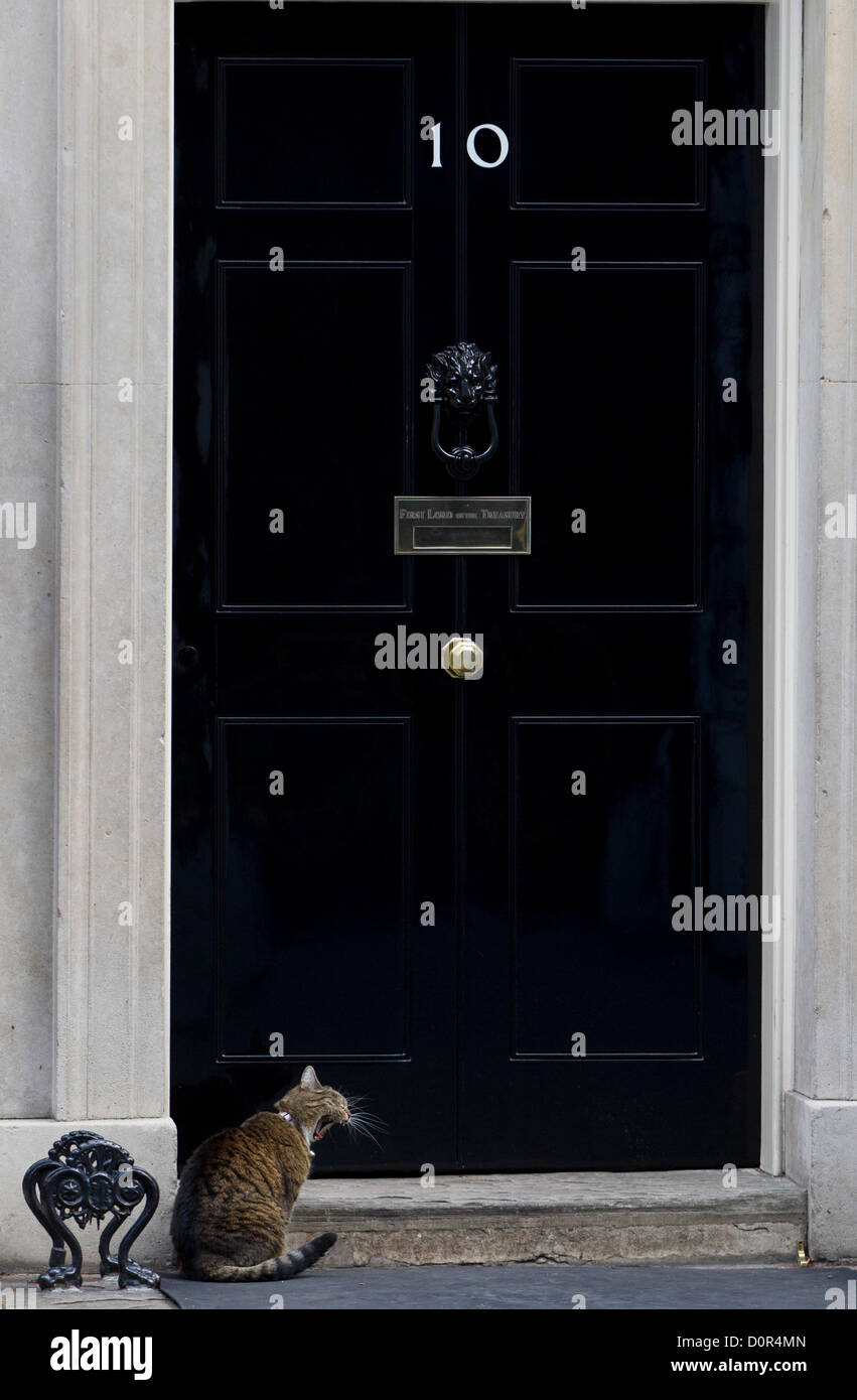 Larry the Downing Street cat sits outside number 10 Downing Street ...