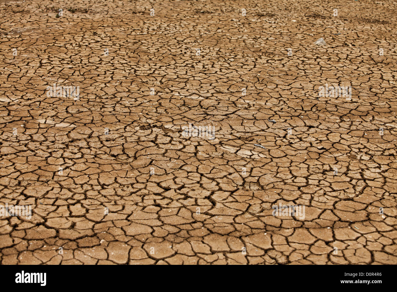 Detail dry cracked earth hi-res stock photography and images - Alamy