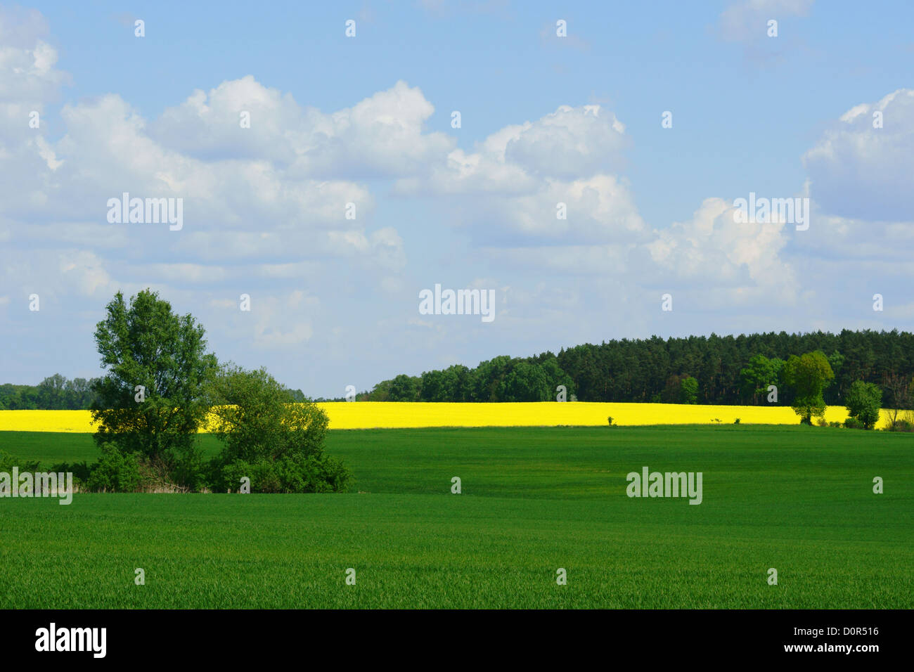 countryside landscape at spring in Poland Stock Photo - Alamy