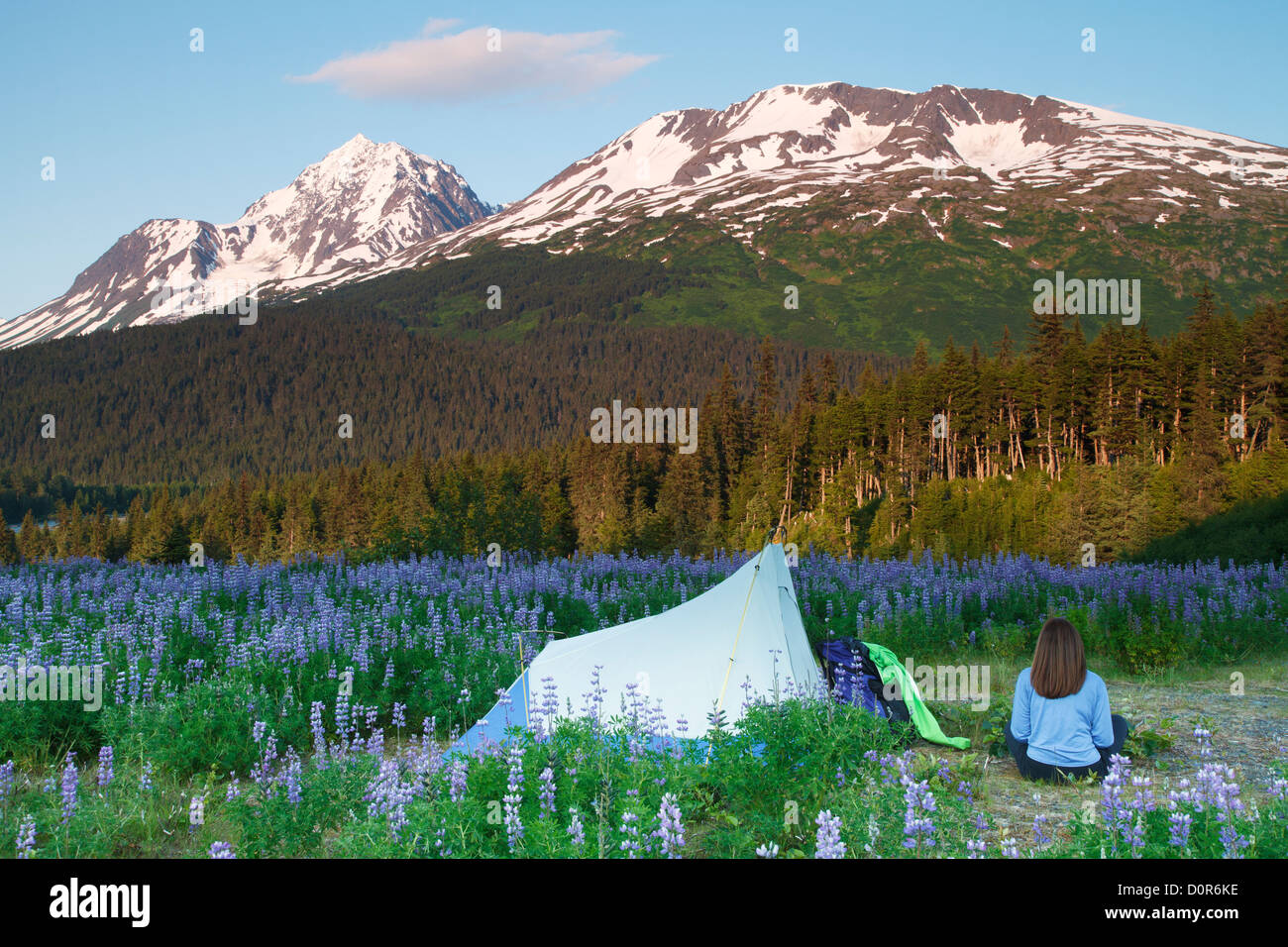 Reading an ipad while camping in the Chugach National Forest, Alaska ...