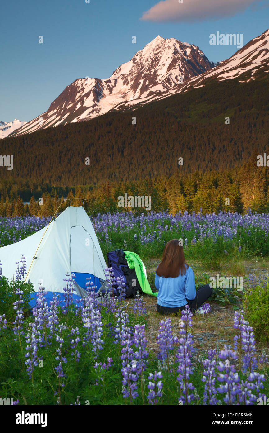 Reading an ipad while camping in the Chugach National Forest, Alaska ...