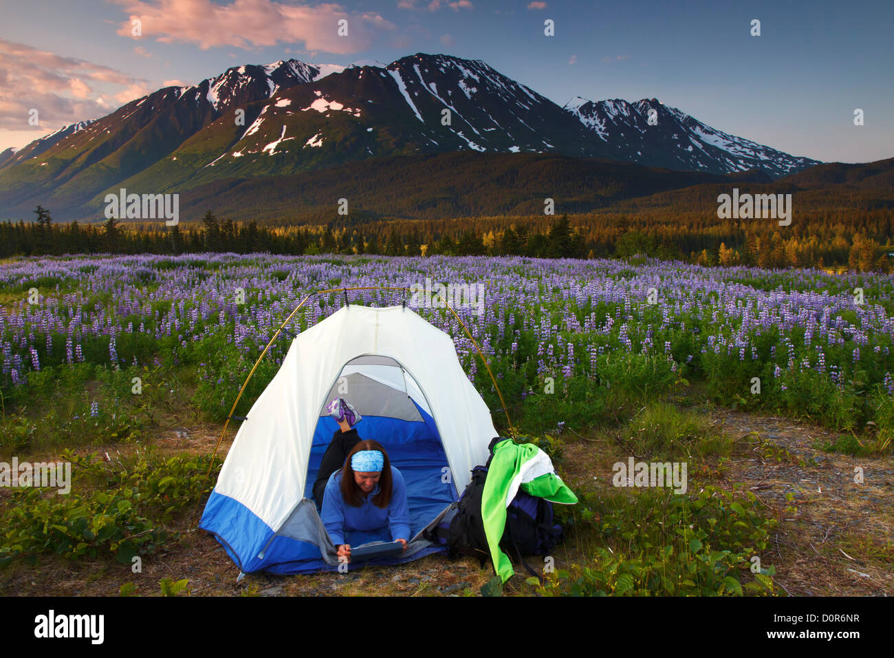 Reading an ipad while camping in the Chugach National Forest, Alaska ...