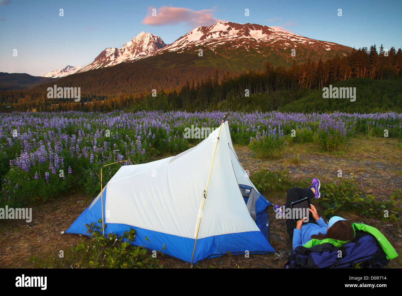 Reading an ipad while camping in the Chugach National Forest, Alaska ...