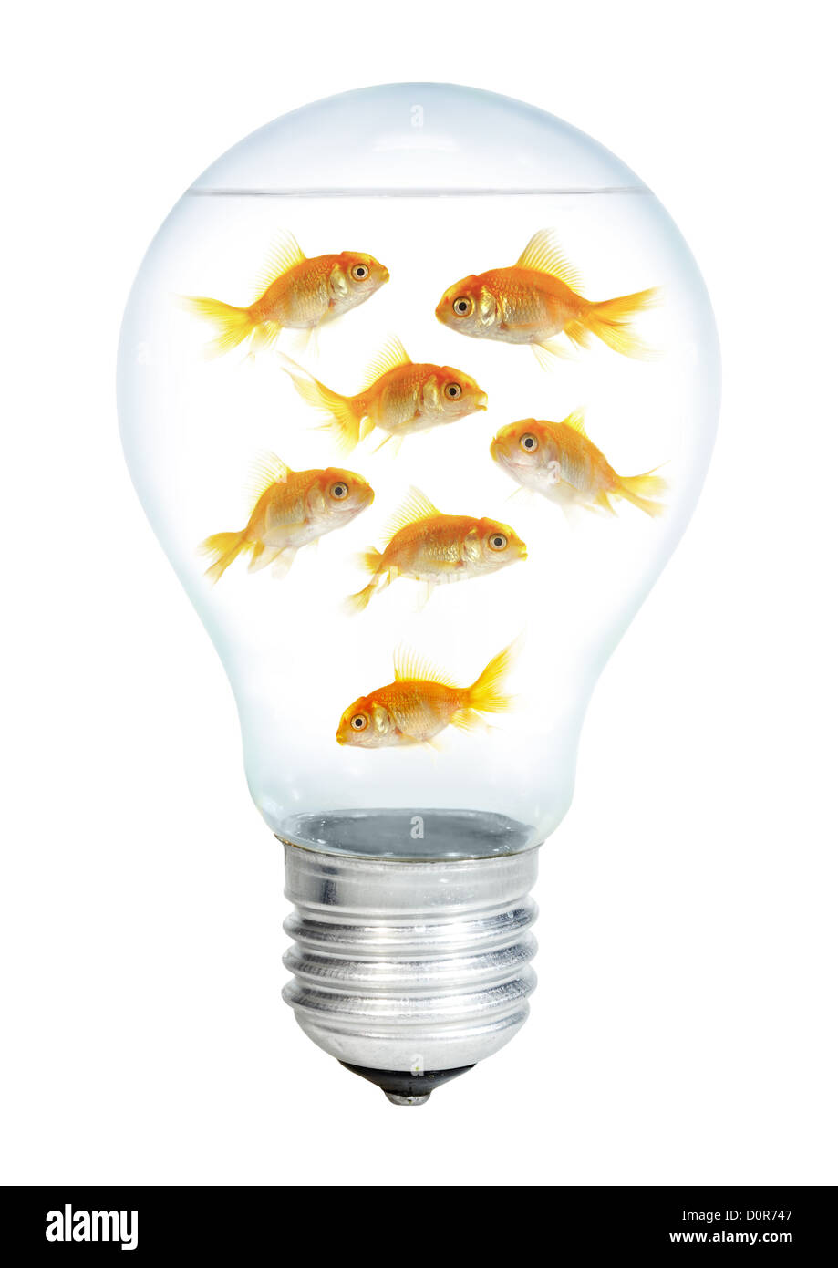 Gold small fish in light bulb Stock Photo - Alamy