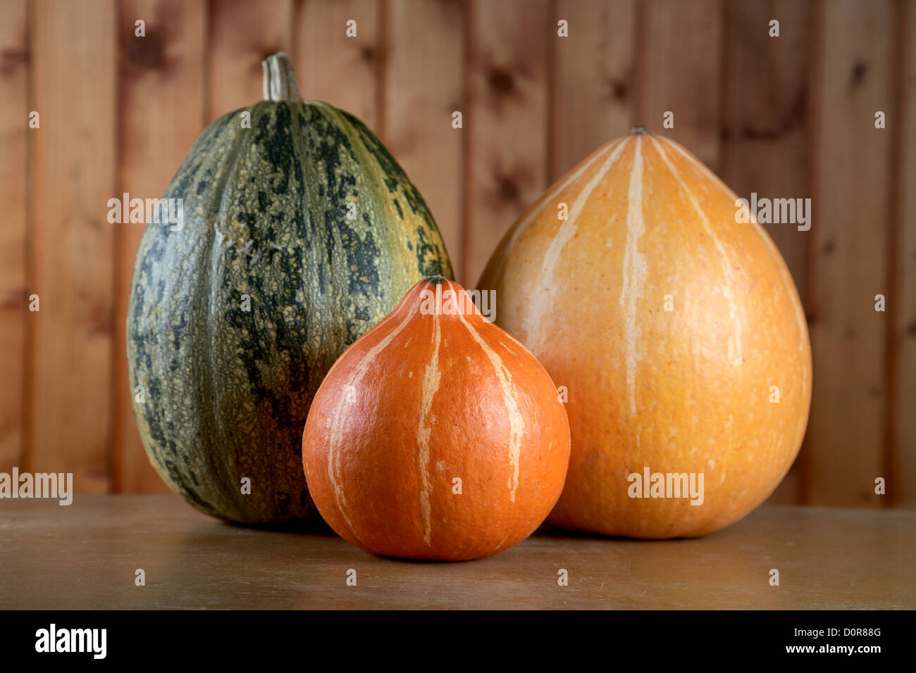 Red marrow yellow marrow hi-res stock photography and images - Alamy