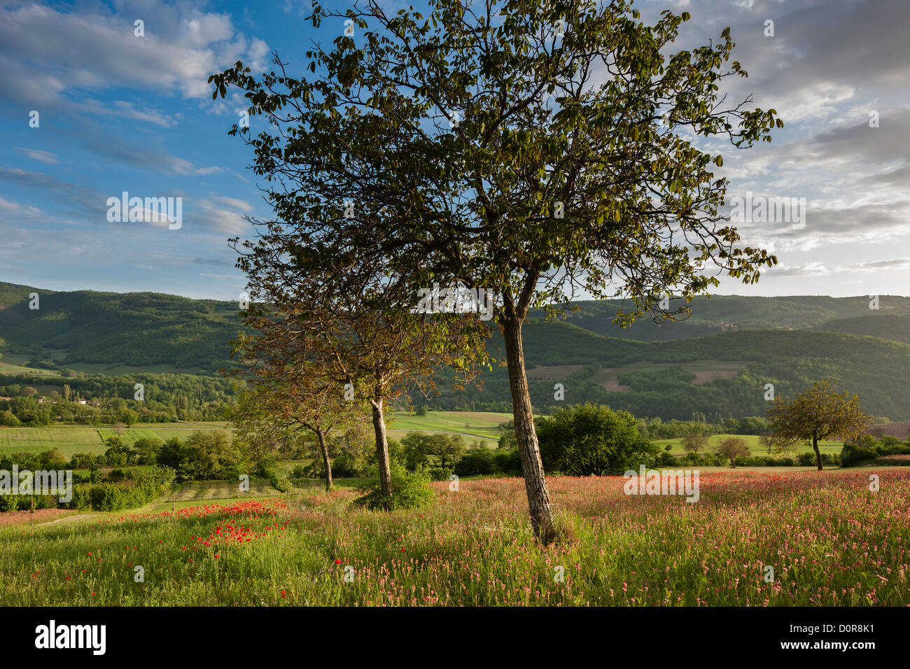 the Valnerina near Campi, Monti Sibillini National Park, Umbria, Italy ...