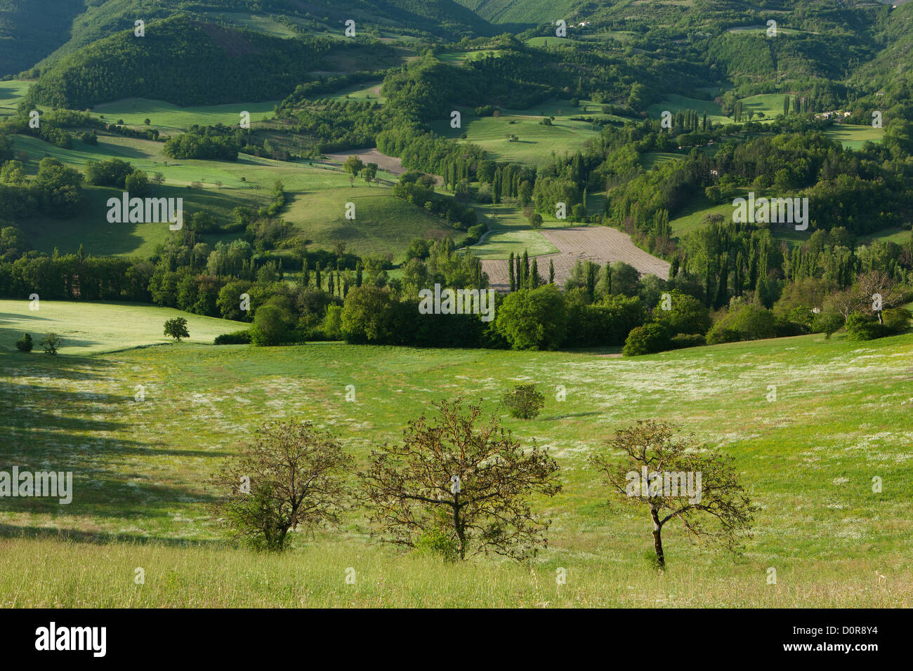 the Valnerina, Monti Sibillini National Park, Umbria, Italy Stock Photo ...