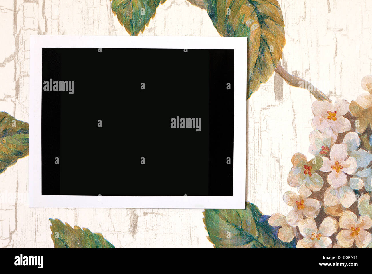 white photo frame Stock Photo - Alamy