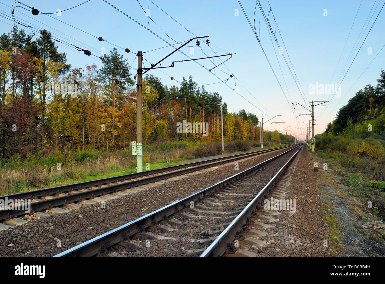 Electricity in the forest hi-res stock photography and images - Alamy