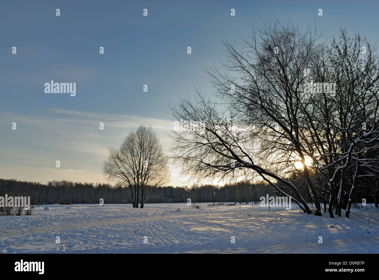 Winter landscape at dawn Stock Photo - Alamy