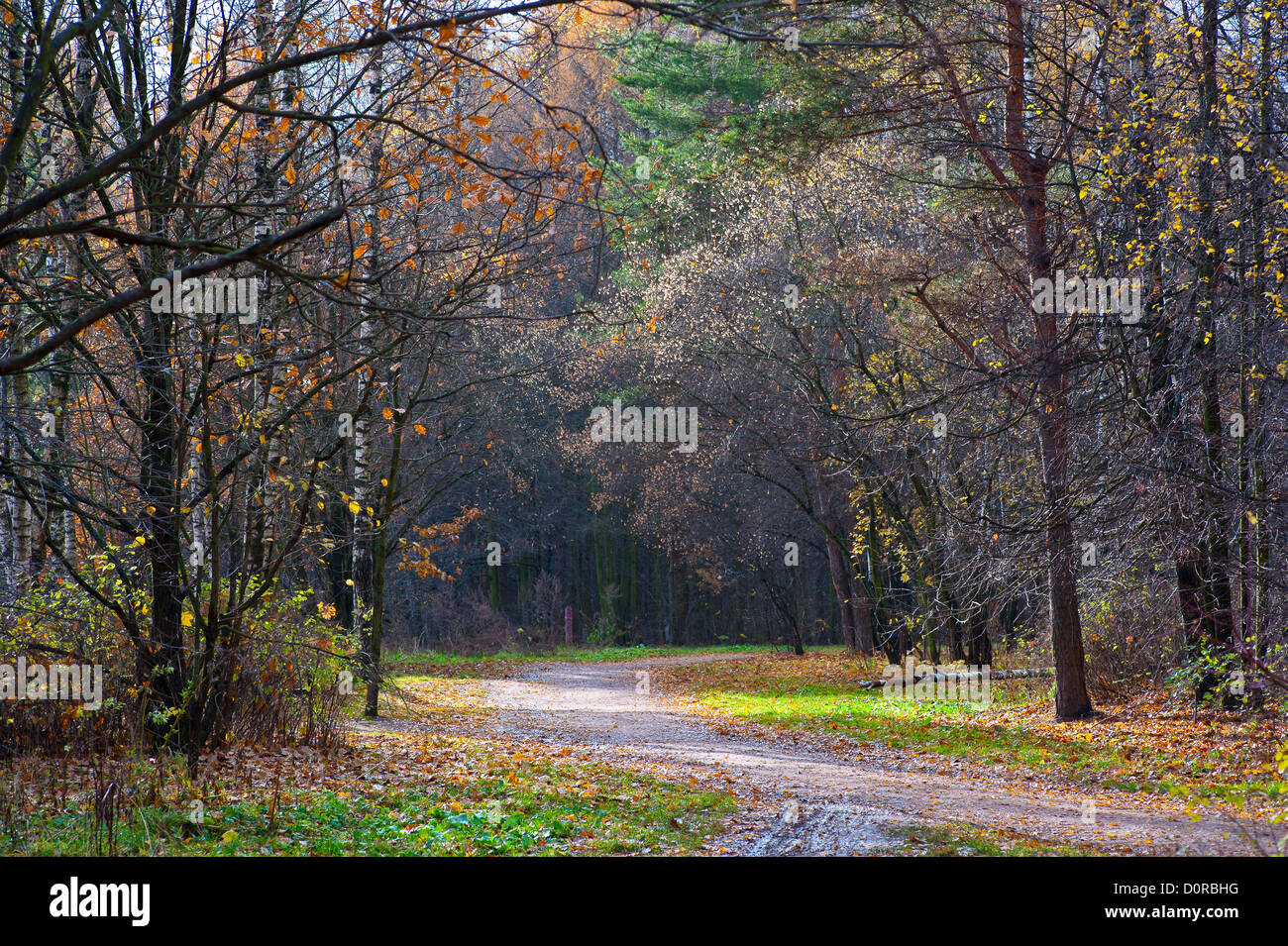 Countryside path in autumn hi-res stock photography and images - Alamy