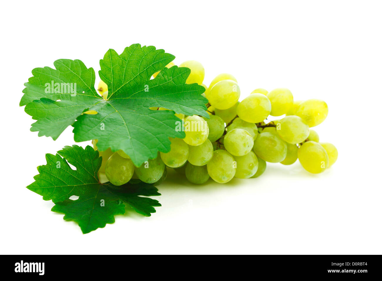 Grapes branch with leaves isolated on white background Stock Photo - Alamy