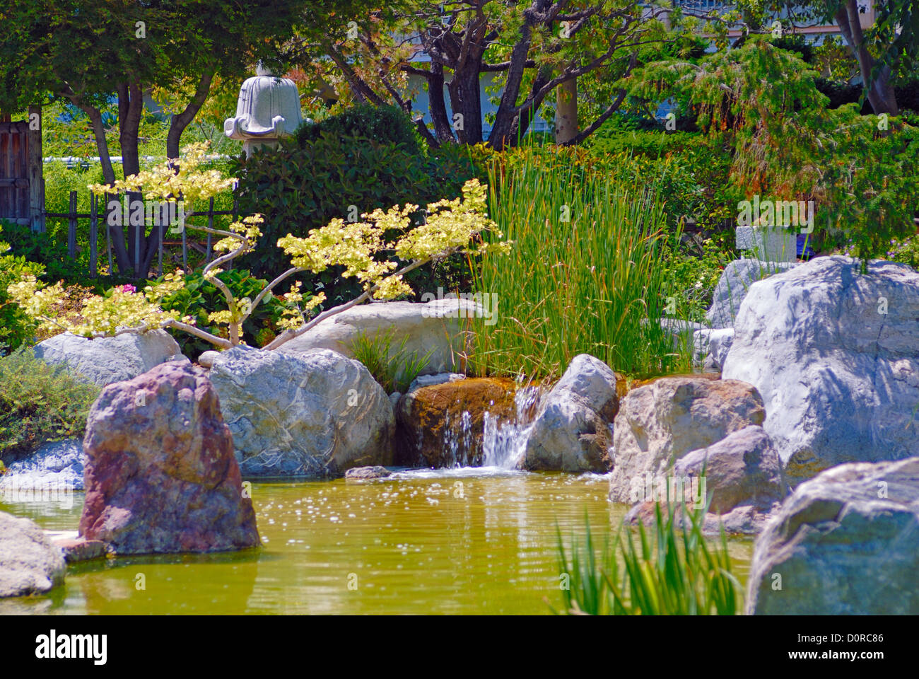 Garden designing flowers hi-res stock photography and images - Alamy