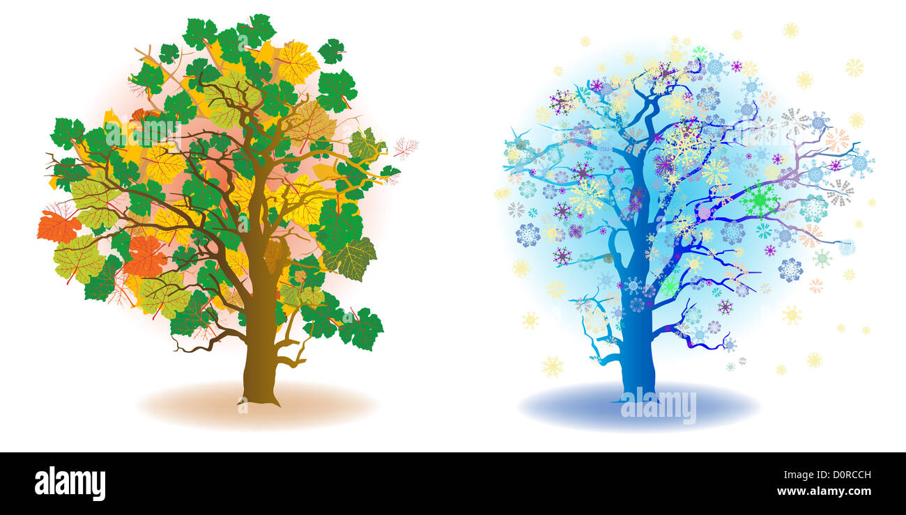 Tree trees winter cold Cut Out Stock Images & Pictures - Alamy