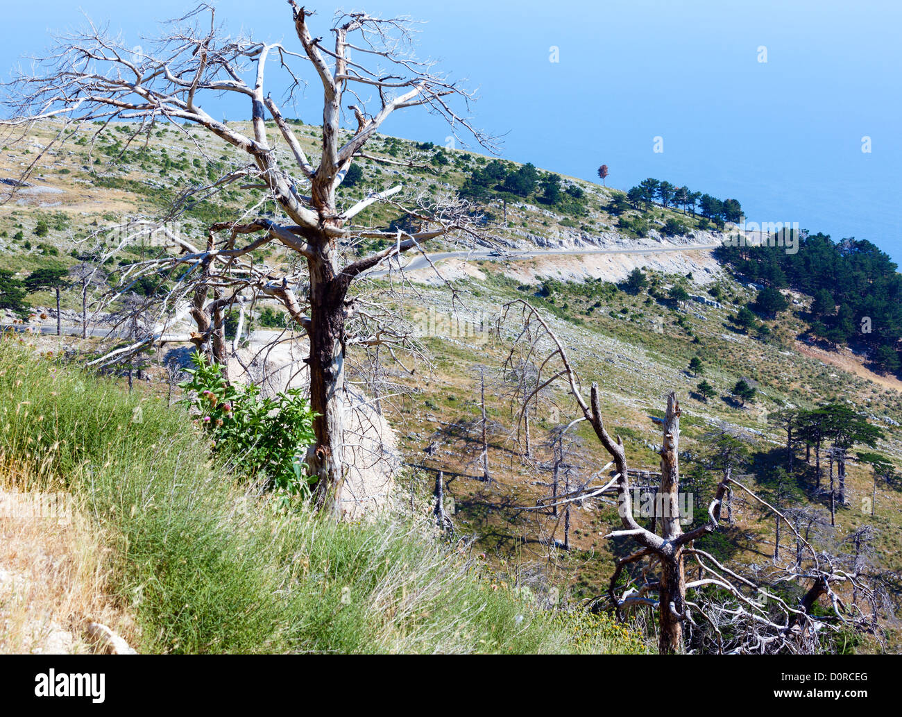 Llogara road hi-res stock photography and images - Alamy