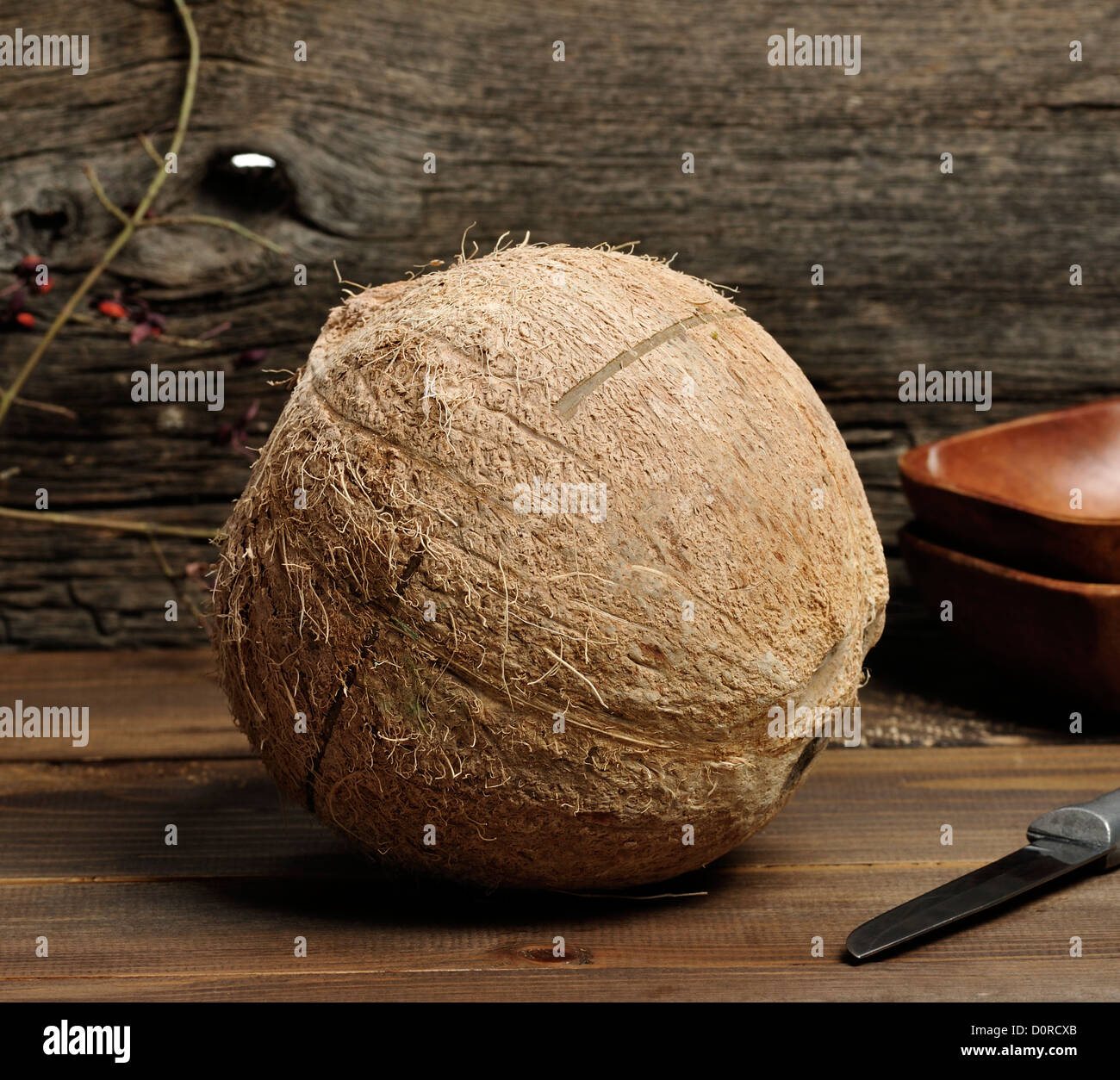 Whole coconut hi-res stock photography and images - Alamy