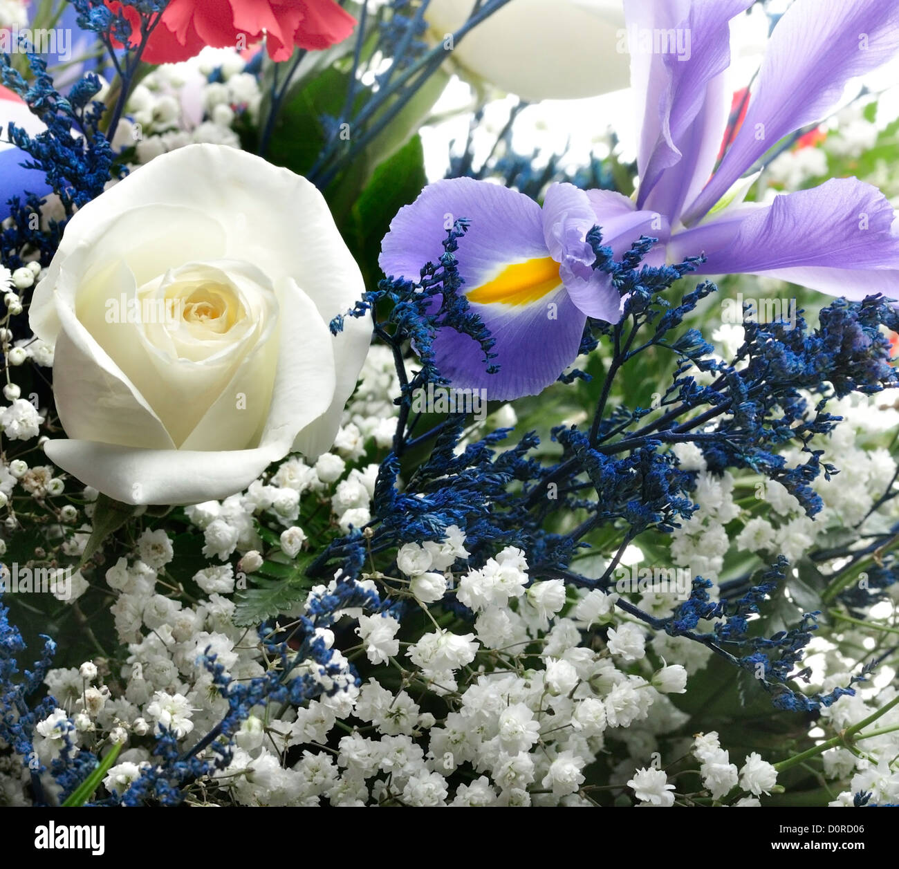 Colorful Flowers ,Close Up For Background Stock Photo - Alamy