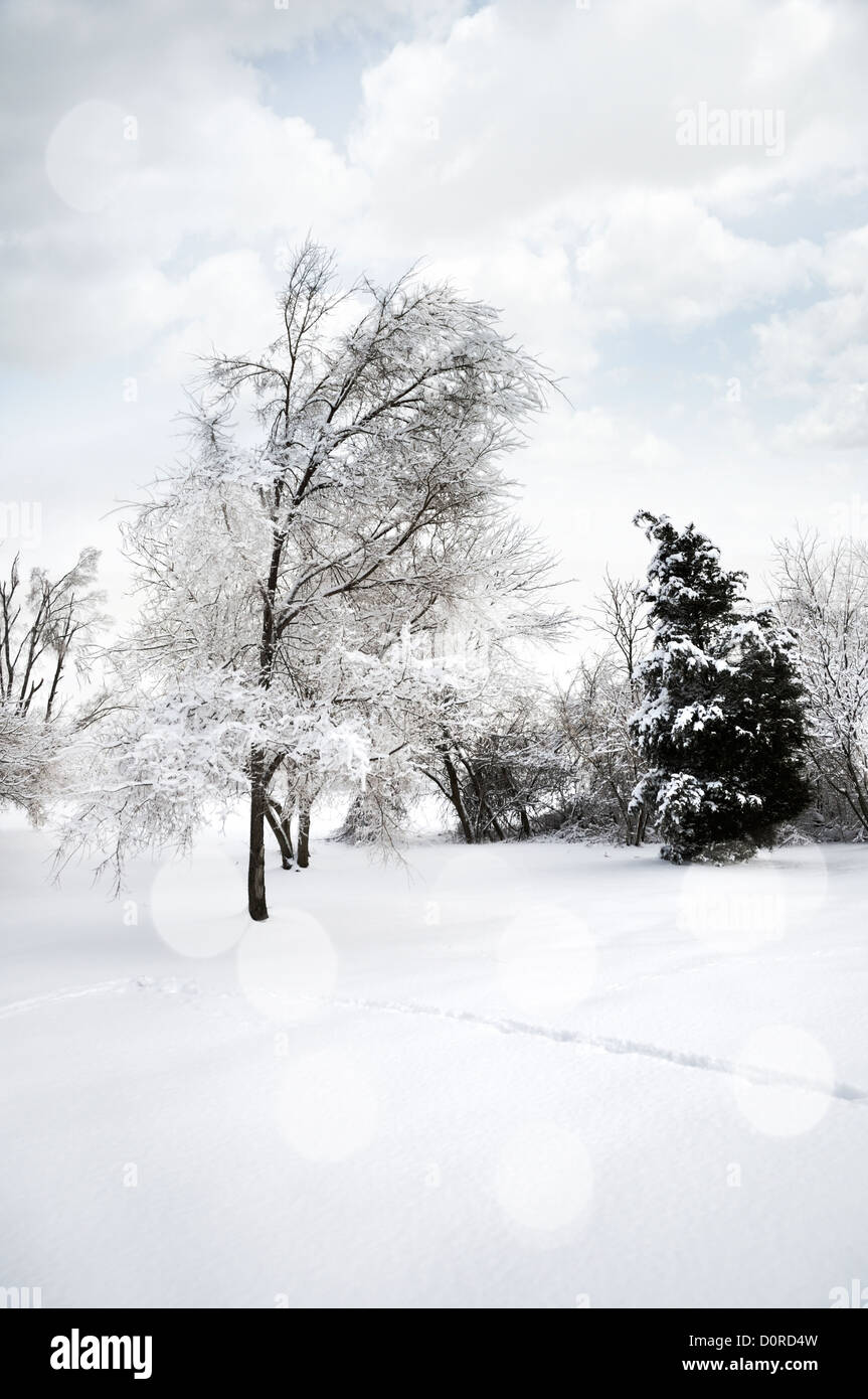 Winter Landscape With Snow And Trees Stock Photo - Alamy