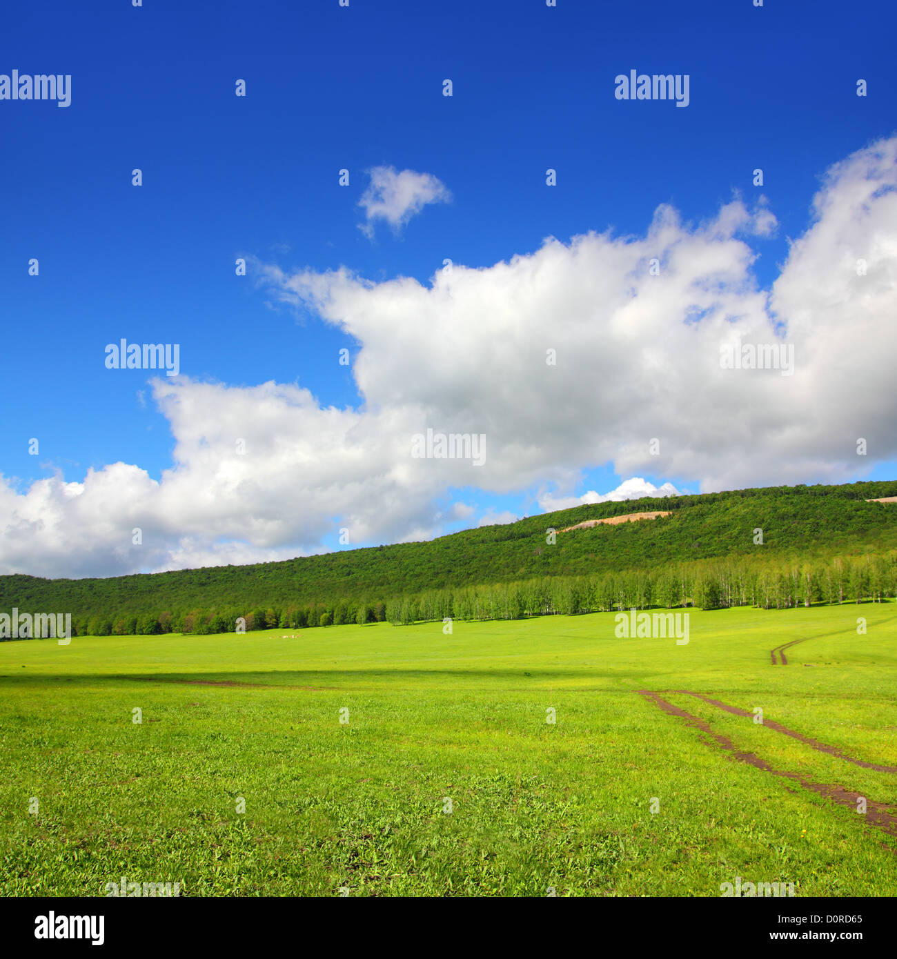 summer landscape with road Stock Photo - Alamy