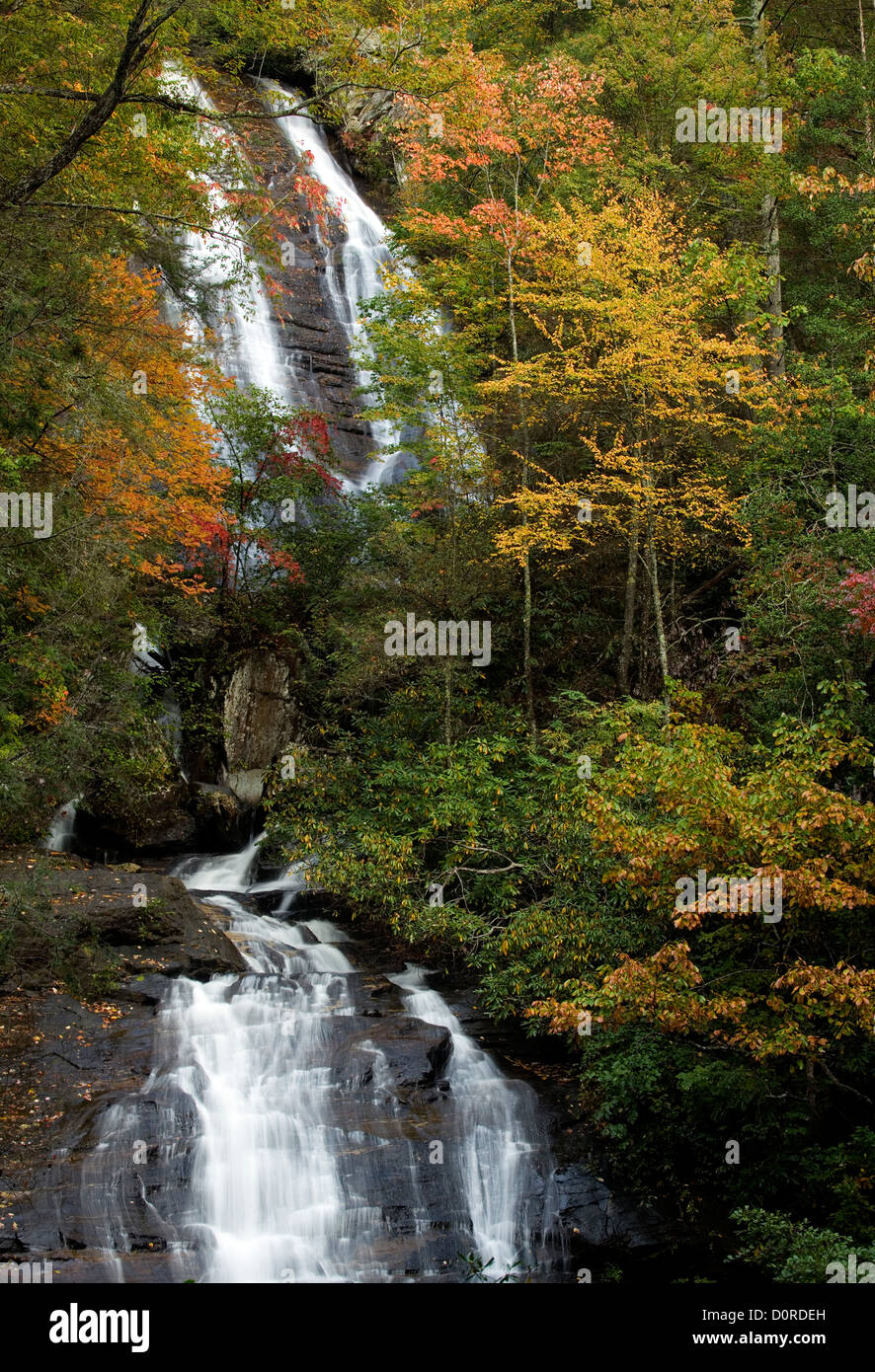 Are Dogs Allowed At Anna Ruby Falls