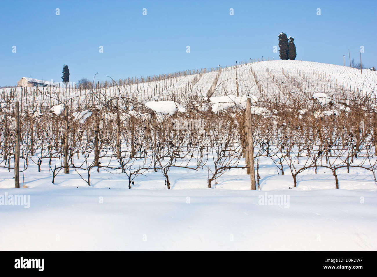 Tuscany in winter hi-res stock photography and images - Alamy