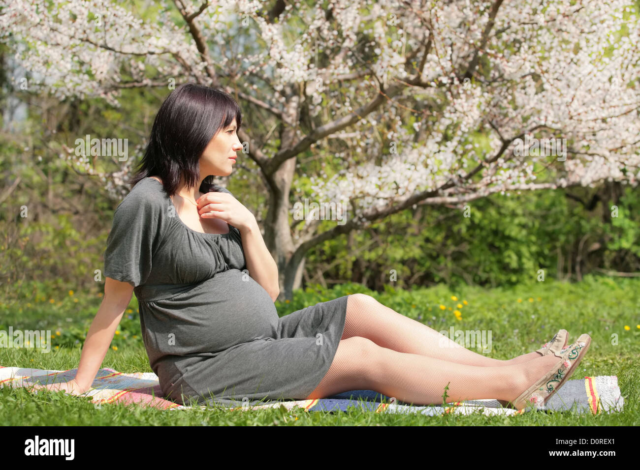 Woman under apple tree hi-res stock photography and images - Alamy