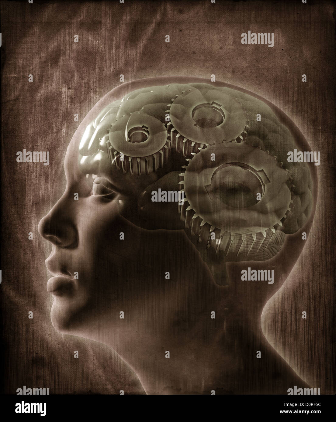Human intelligence hi-res stock photography and images - Alamy